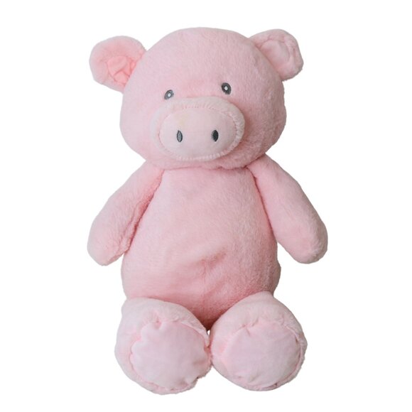Kellytoy | Toys | Kellytoy Pig Plush Stuffed Animal Baby Toy Sensory ...